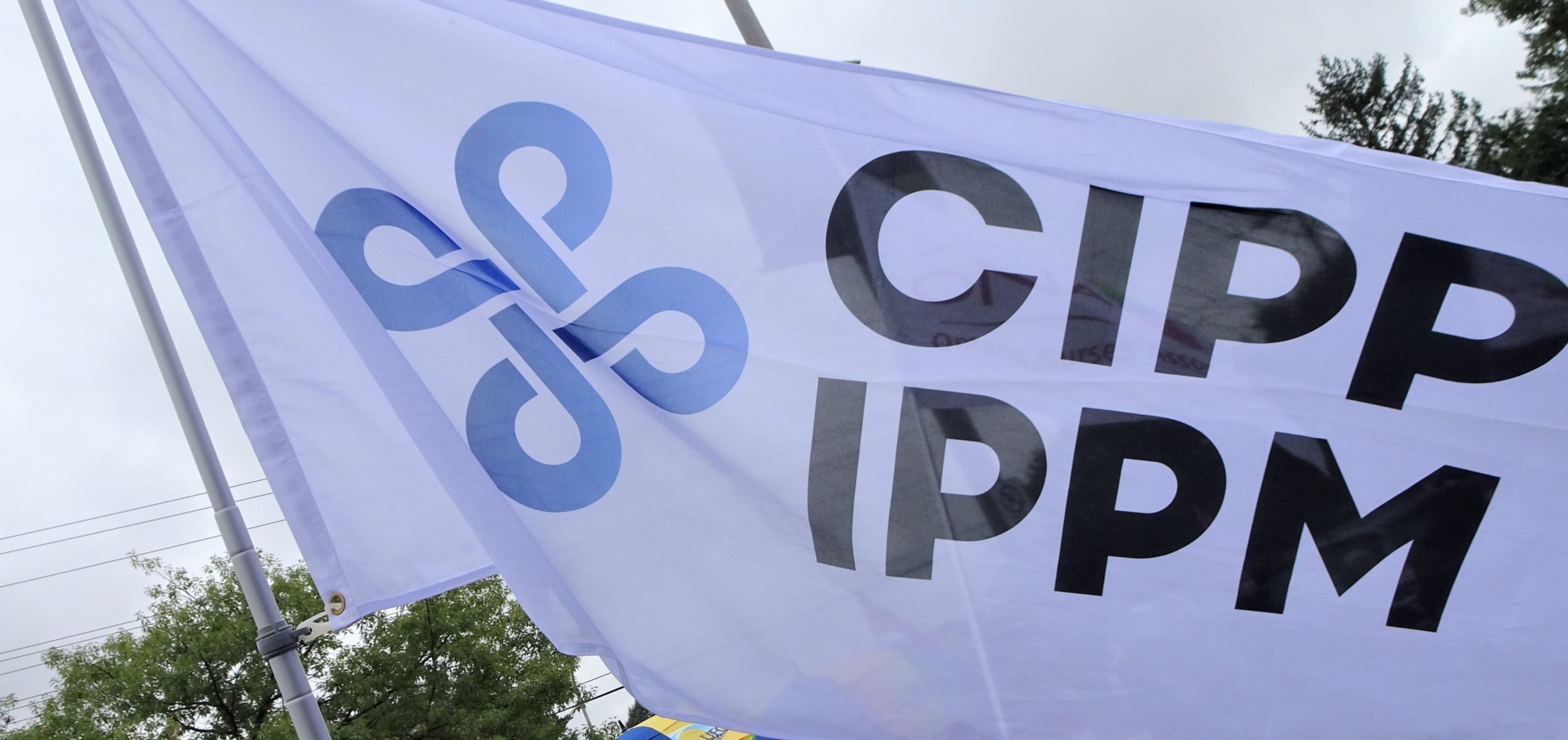 Join the CIPP Board and Committees - CIPP IPPM | Thriving Together